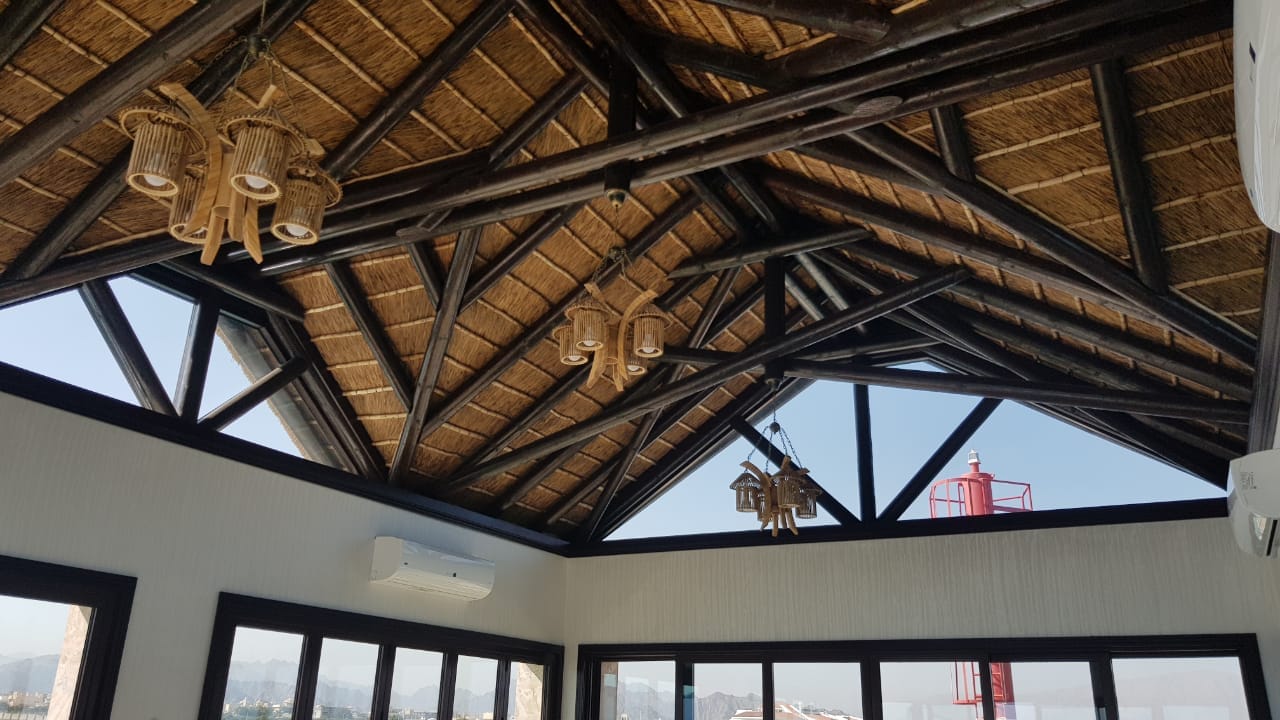Top 8 Ideas for Contemporary Homes with Thatch | Cape Reed International